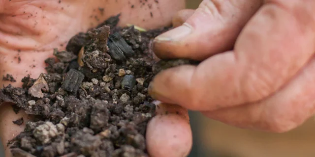 Comprendre la texture de son sol : sable, limon, argile | Association ...