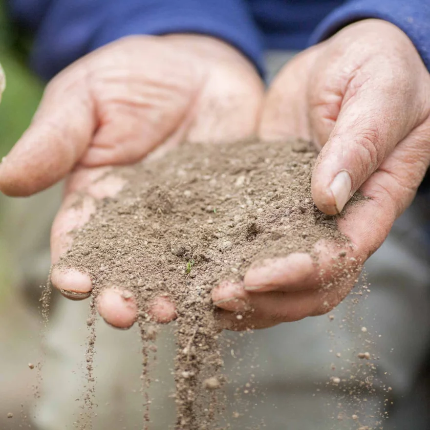 Comprendre la texture de son sol : sable, limon, argile | Association ...