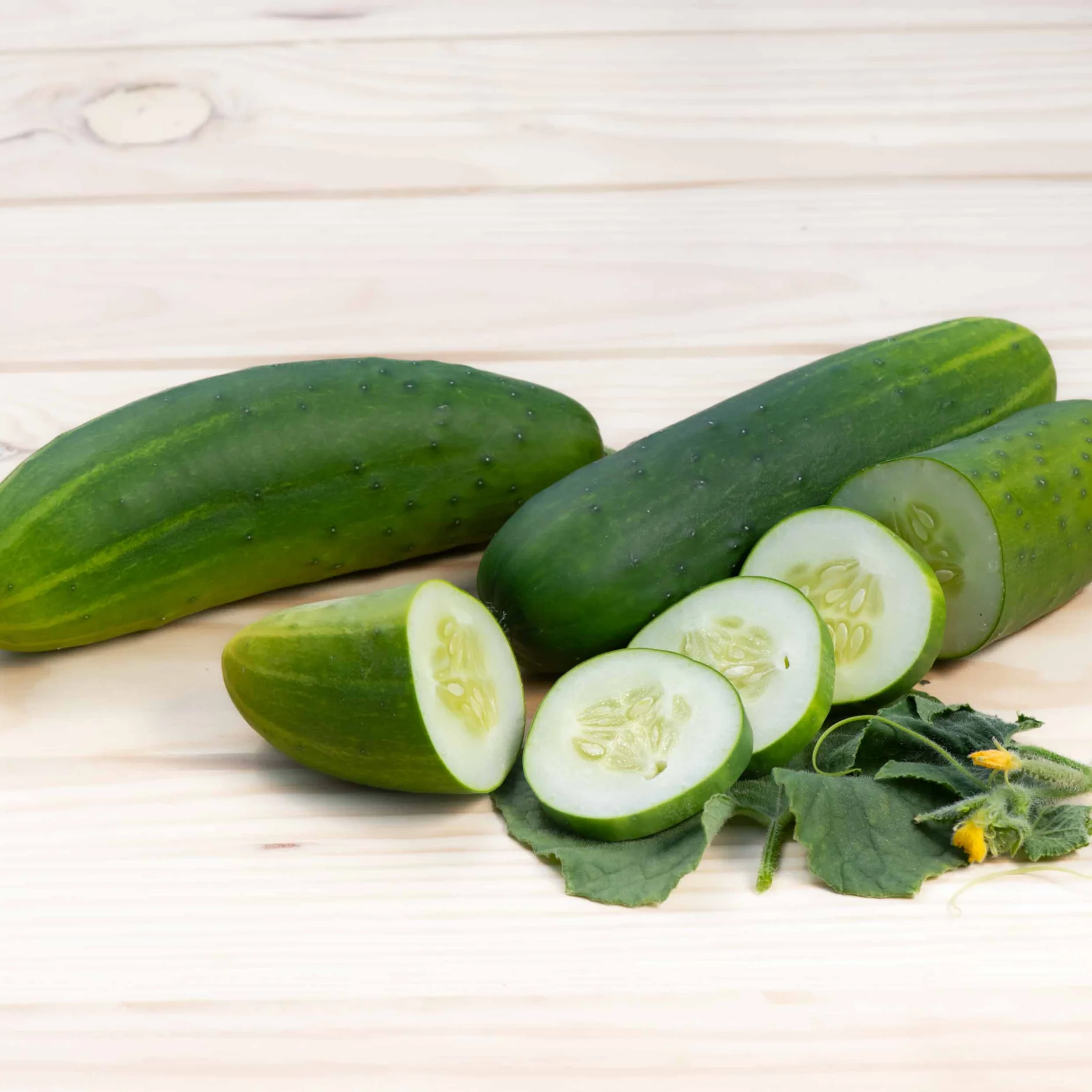 Réussir la culture du Concombre | Association Kokopelli