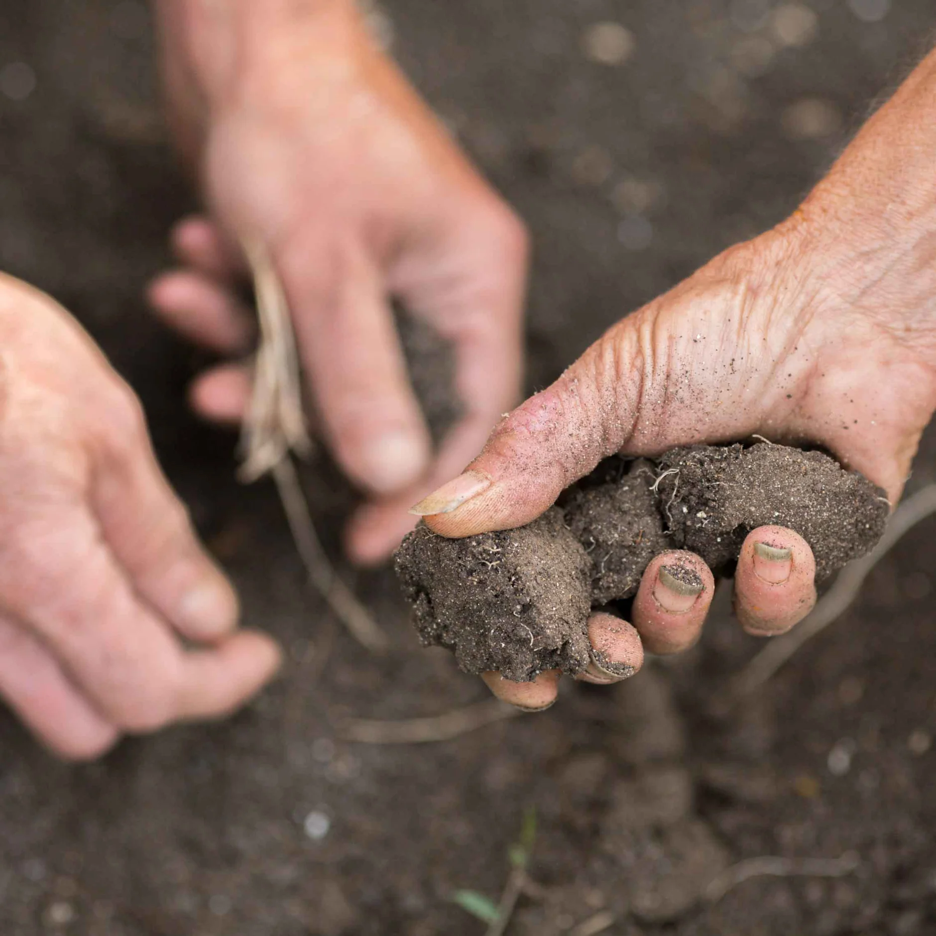 Comprendre la texture de son sol : sable, limon, argile | Association ...