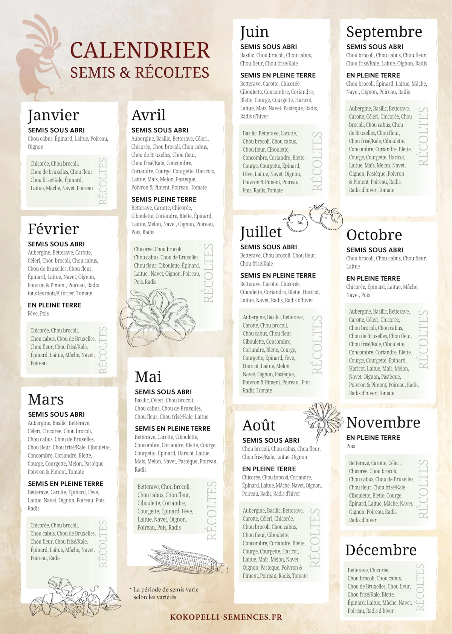 Calendrier des semis et des récoltes | Association Kokopelli