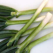 Graines de ciboules | Association Kokopelli