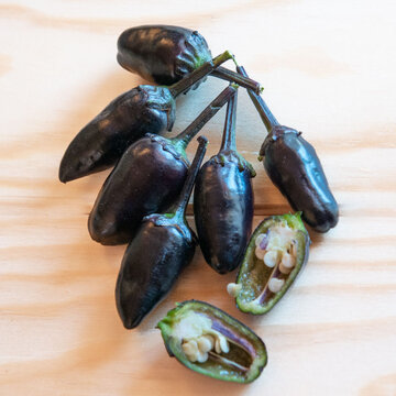 Tomate Rouge - Calabash Red | Association Kokopelli