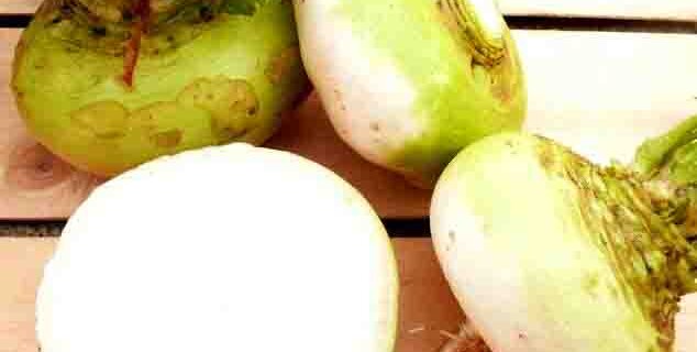 Navets - Rave de Margeride