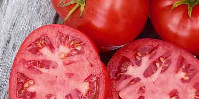 Tomate Rouge - Wayahead