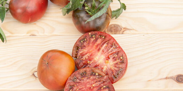 Tomate Rouge - Dwarf Champion