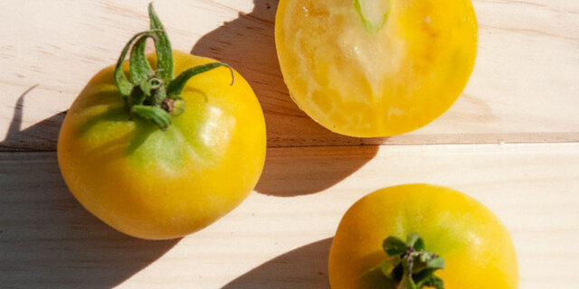 Tomate-Cerise Blanche - Cherry Ghost