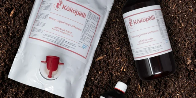 Micro-organismes efficaces - Solution mère