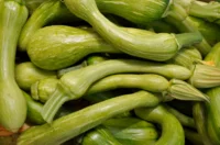 Courge Longue de Nice | Association Kokopelli