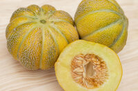 Melons - Vert Grimpant | Association Kokopelli