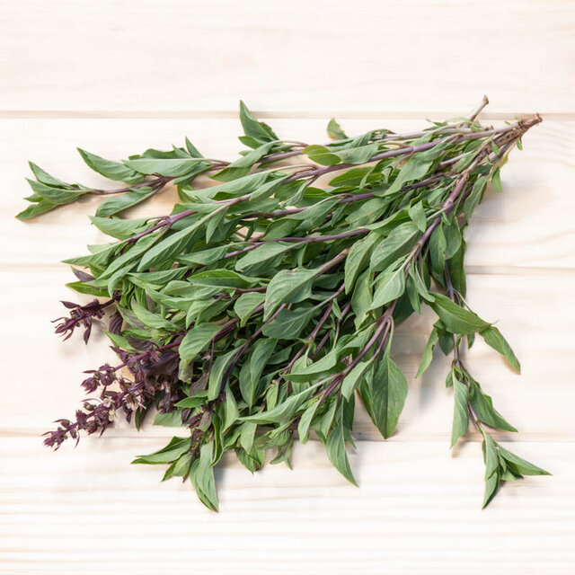 Basilics - Queen Of Sheba | Association Kokopelli