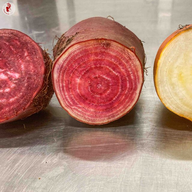 Betterave En Mélange de Couleurs - 3 Root Grex | Association Kokopelli