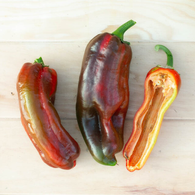 Piment Doux / Poivron - Corno Di Toro Rouge | Association Kokopelli