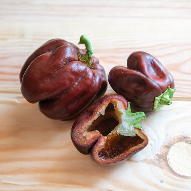 Piment Doux / Poivron - Chocolate Beauty | Association Kokopelli