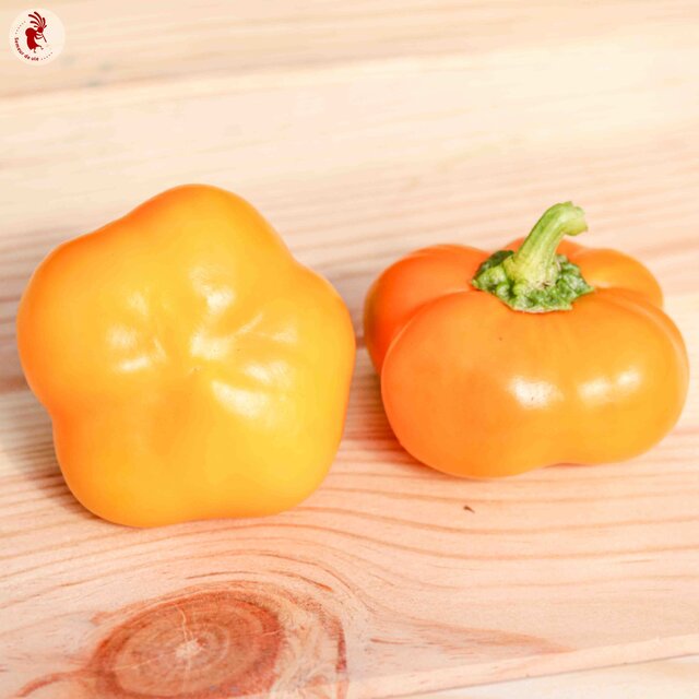 Piment Doux / Poivron - Doe Hill Golden Bell | Association Kokopelli