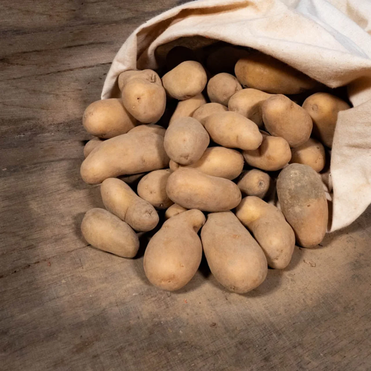 Pommes de terre - Pomme de terre Linzer Delikatess bio - calibre 25/35