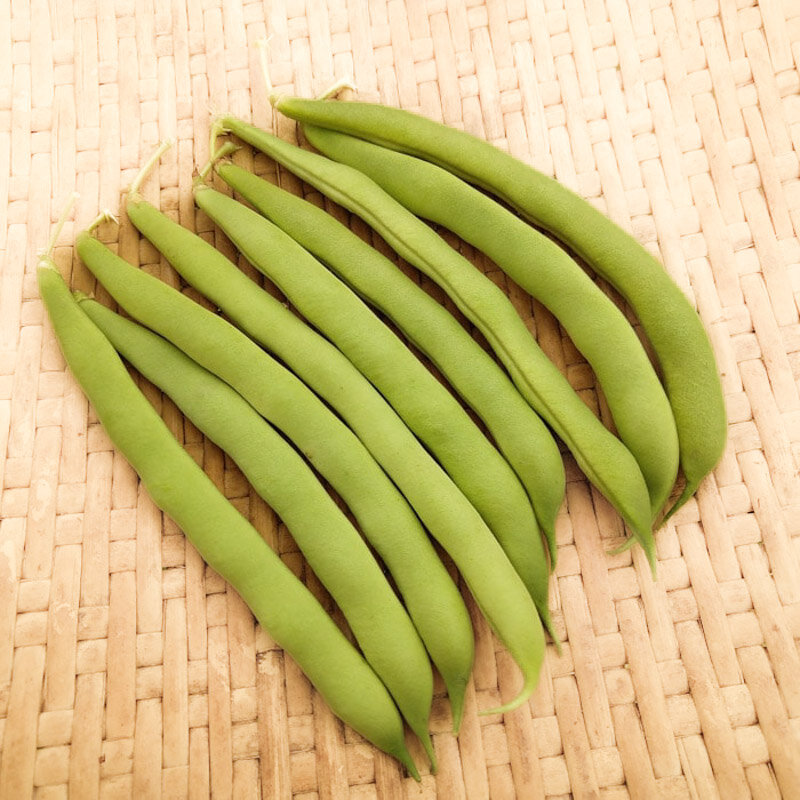 Haricot Mangetout Nain - Alice Sunshine