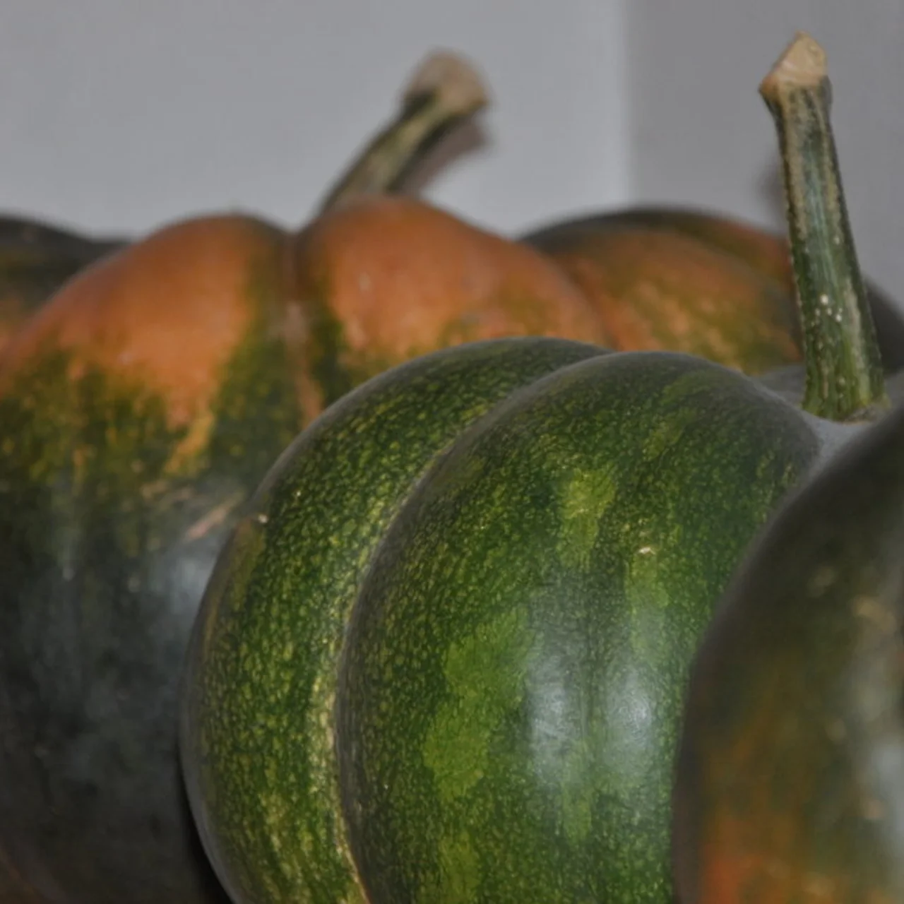 Courge Musquée de Provence
