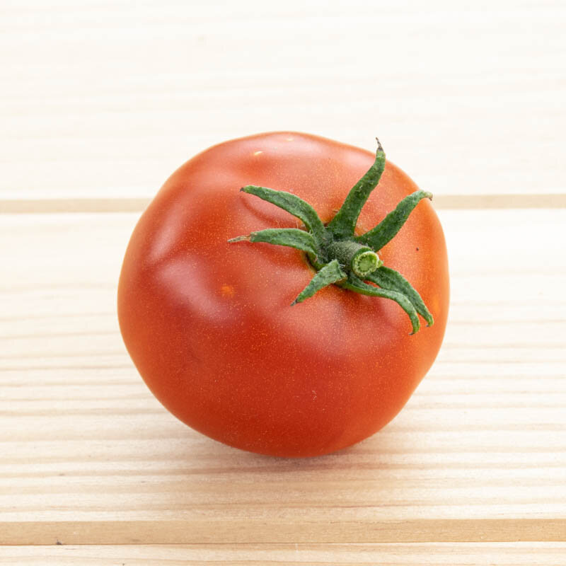 Tomate Rouge - Aurora