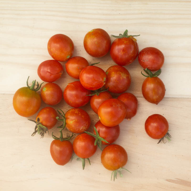 Tomate-Cerise Rouge - Red Centiflor Cherry | Association Kokopelli