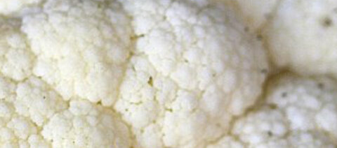 Graines de Choux fleurs