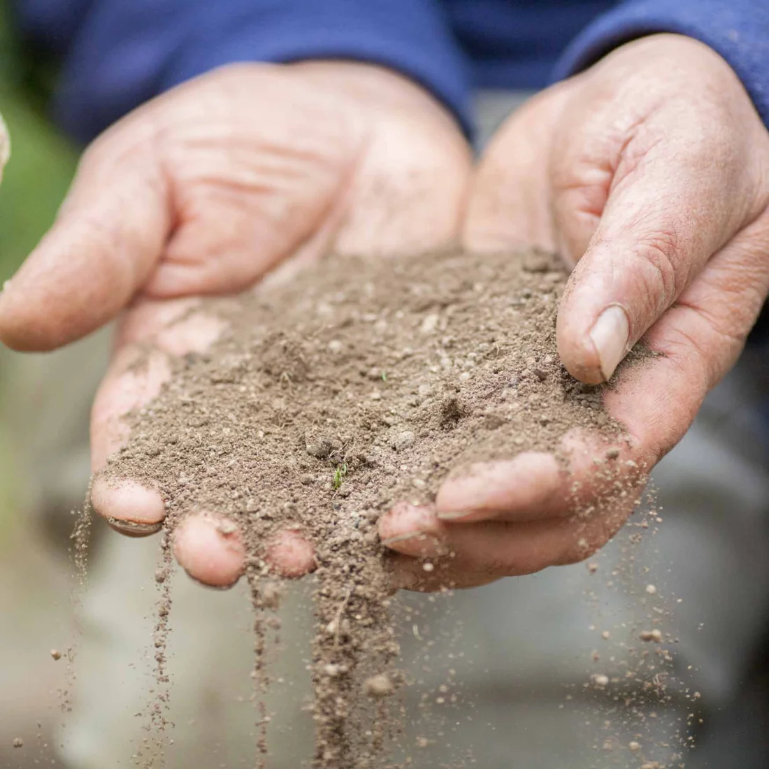 Comprendre la texture de son sol : sable, limon, argile | Association ...