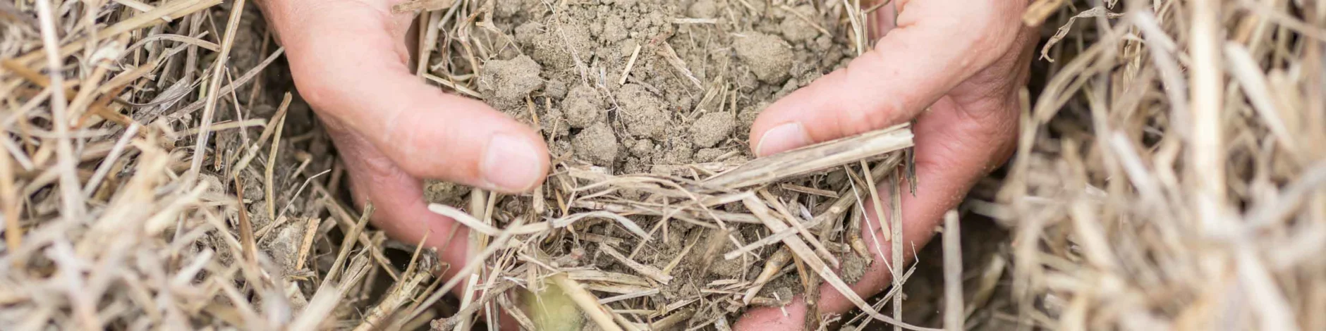 Les amendements du sol : naturels, organiques et minéraux | Association ...