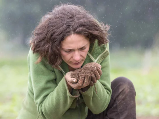 Comprendre la texture de son sol : sable, limon, argile | Association ...