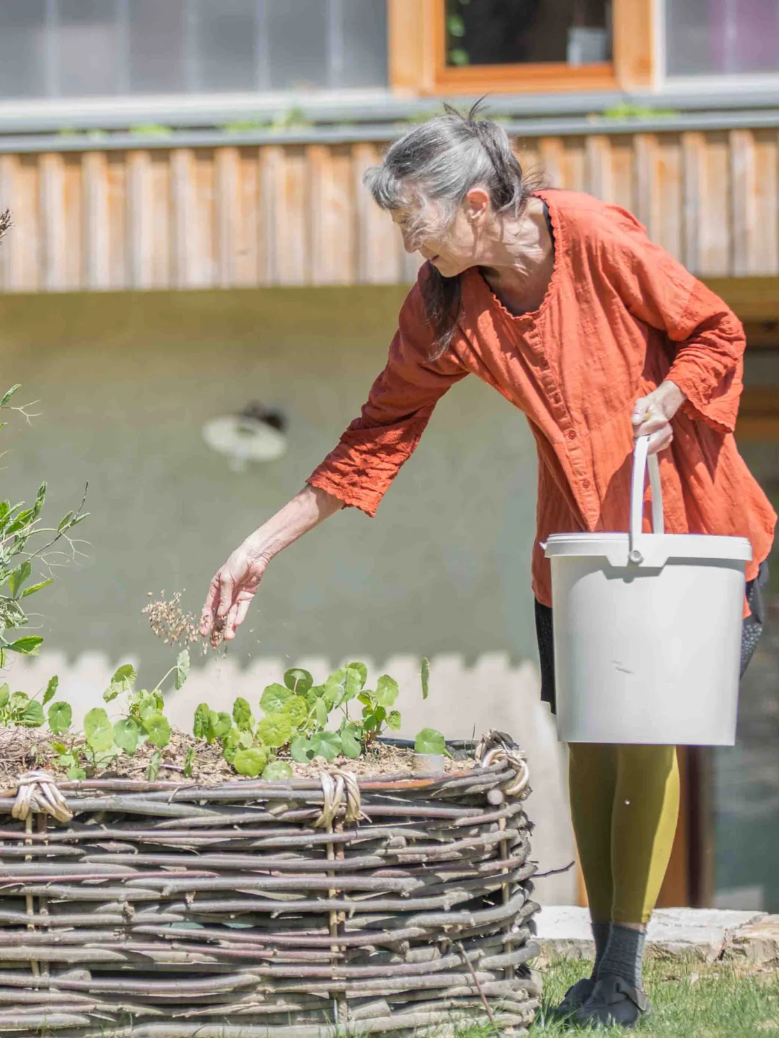 Guide complet pour faire ses semis de A à Z | Association Kokopelli