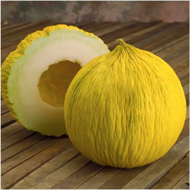 Melons - Casaba Golden Beauty | Association Kokopelli