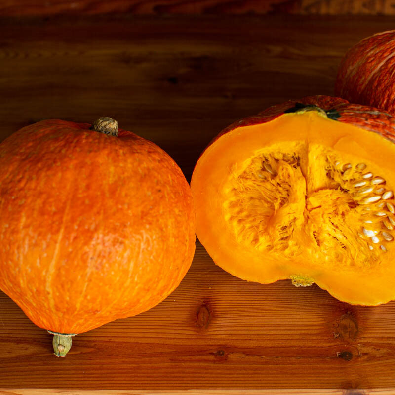 Courges maxima - Strawberry | Association Kokopelli