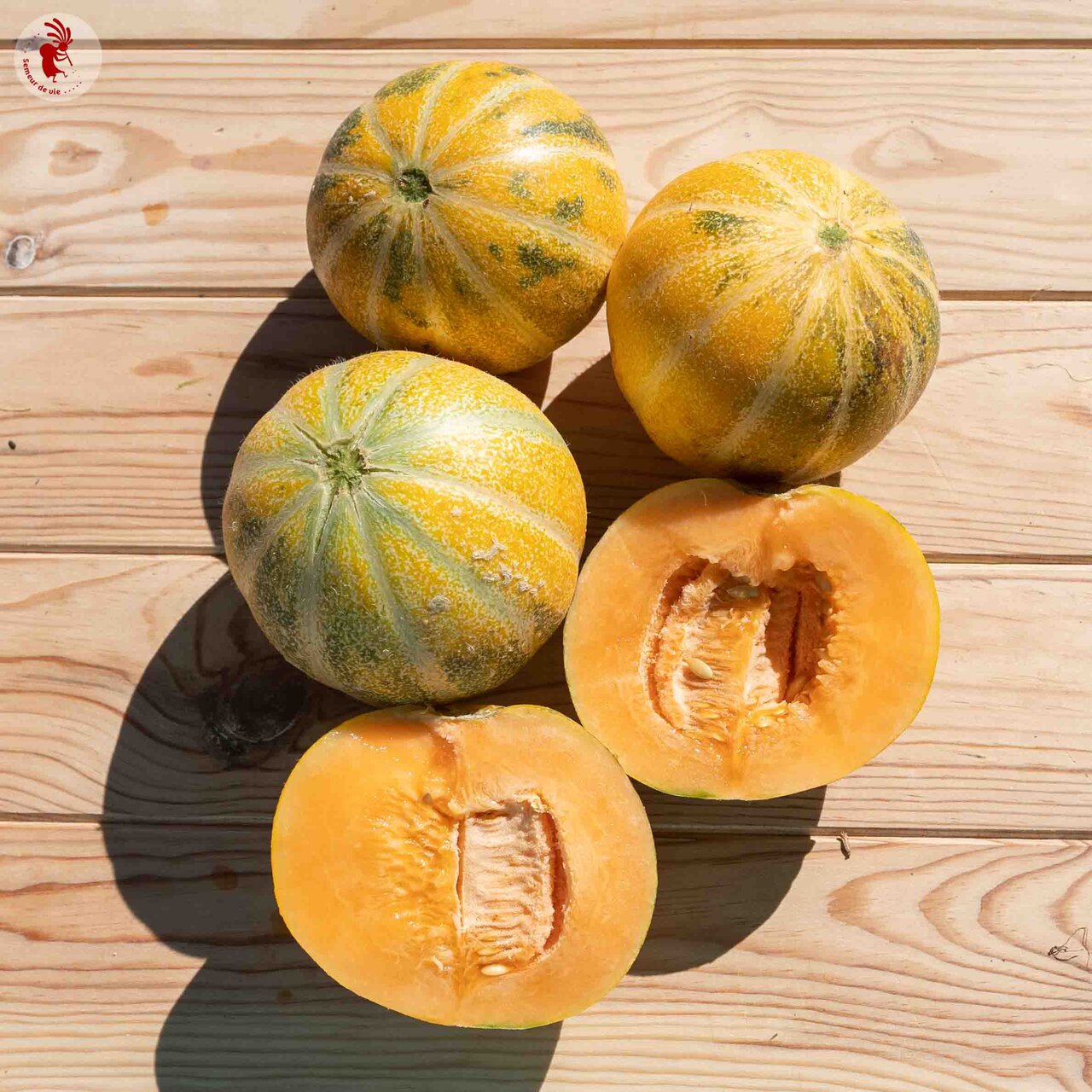 Melons - Ananas d’Amérique à Chair Rouge | Association Kokopelli