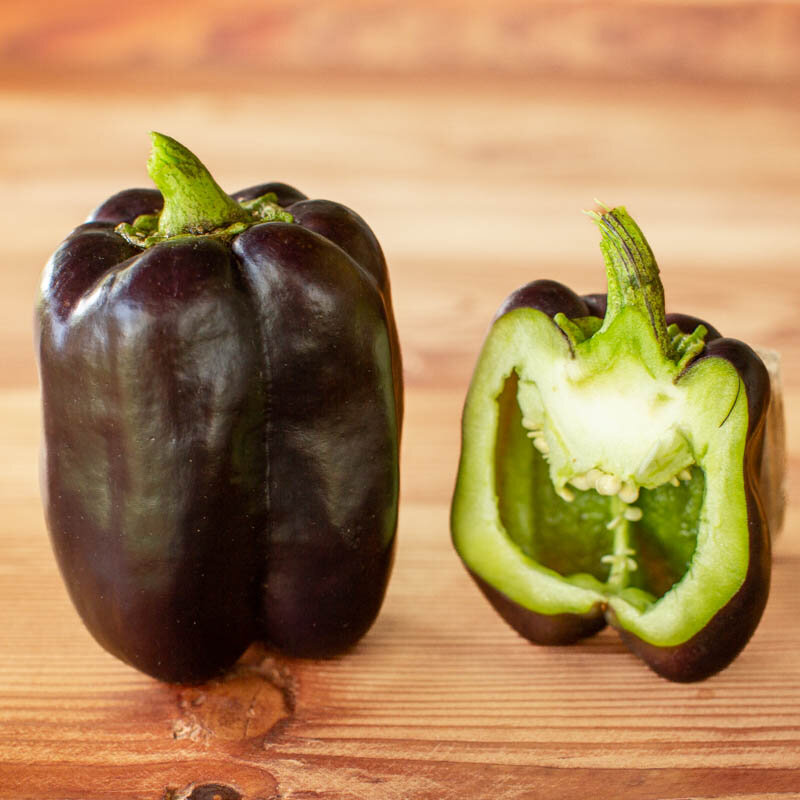 Piment Doux / Poivron - Purple Beauty | Association Kokopelli