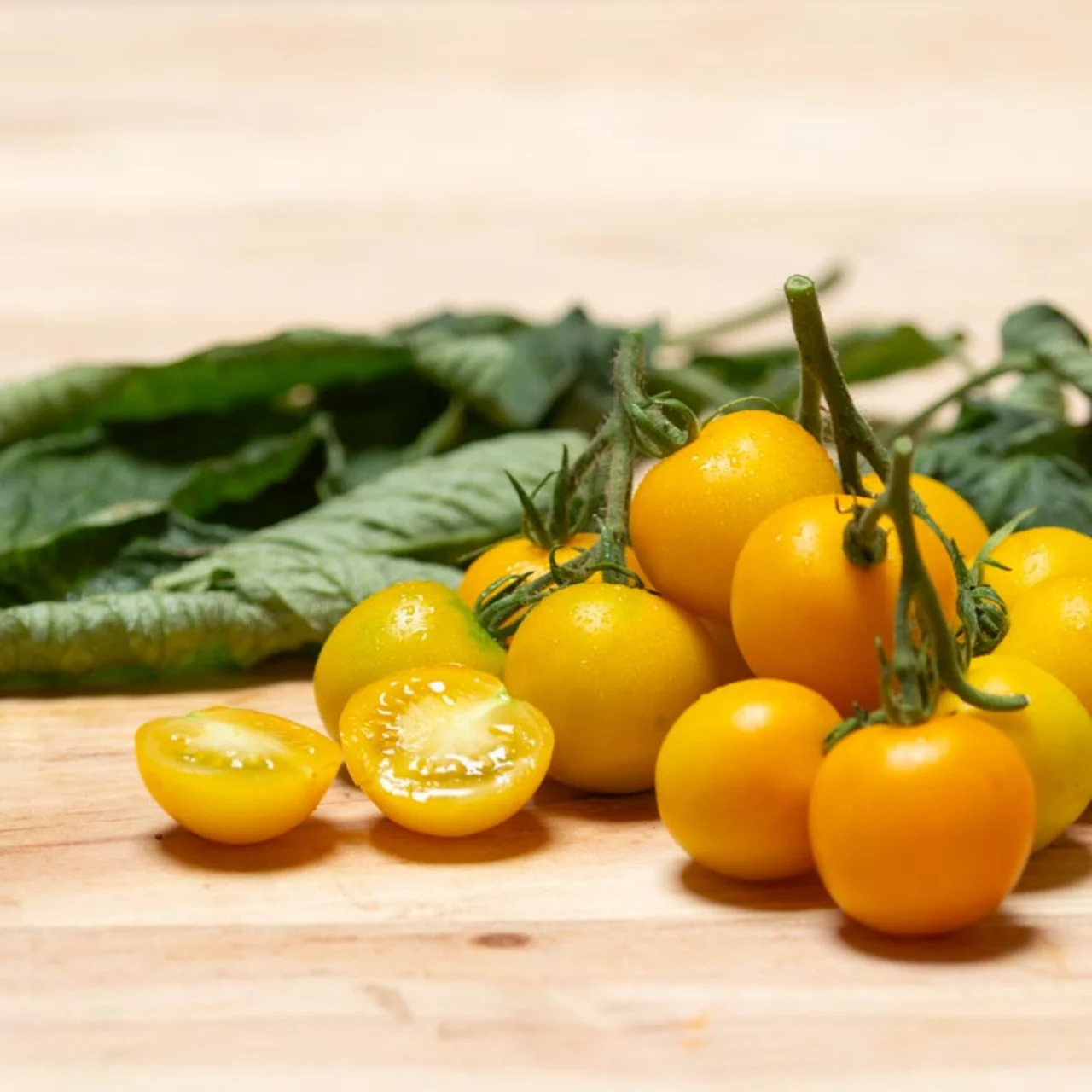 Tomate Jaune - Yellow Perfection | Association Kokopelli